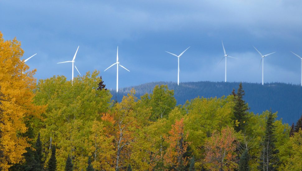 Supporting Conservation – Northern Confluence